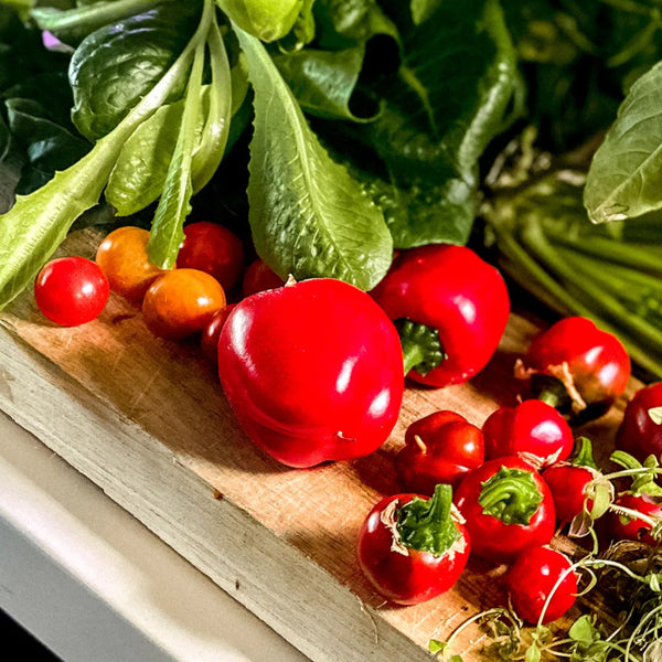 25 Delicious Plant-Based Dinner Recipes for Every Taste