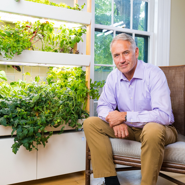 Reflections on 2021: Insights from Our CEO