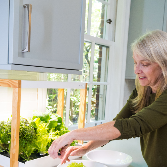 From Roots to Rise: Nancy's Journey in Community Gardening