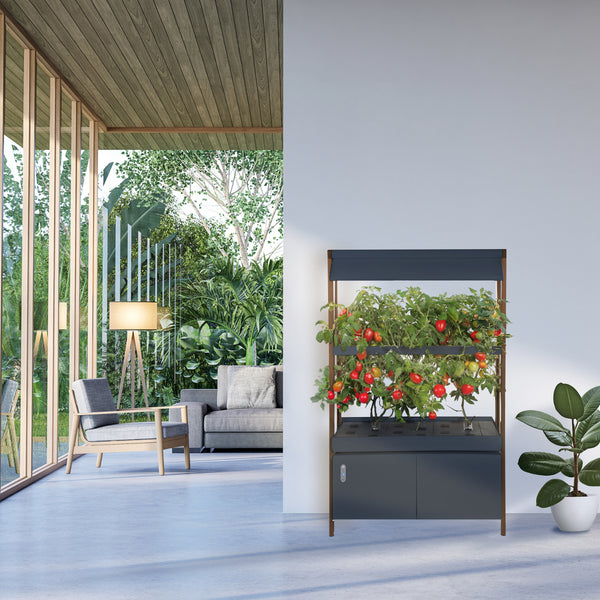 Discover Rise Roma: The Ultimate Garden Designed for Big Growth