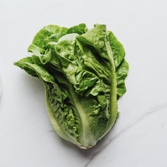 The Ultimate Guide to Romaine Lettuce: Origins, Uses, and Benefits