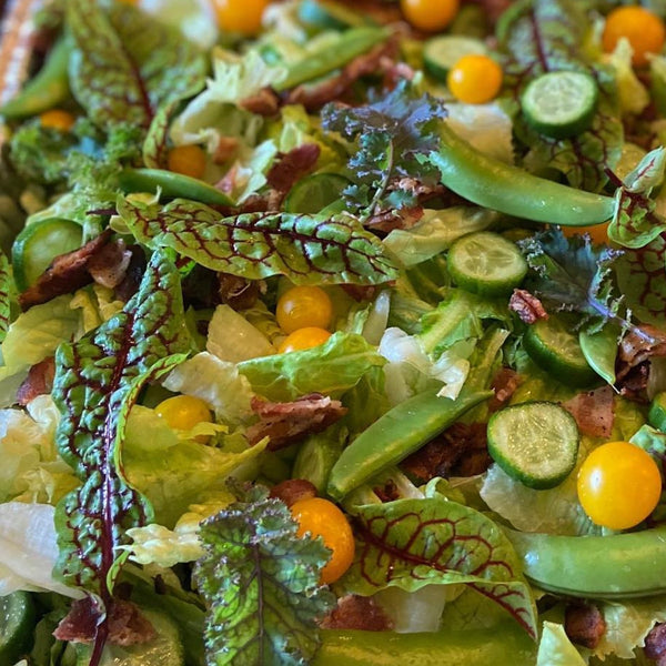 Top Summer Salad Recipes to Savor: Fresh & Healthy Ideas