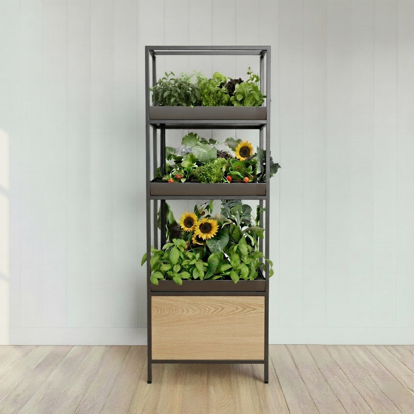 The Rise Garden Loft | Smart Compact Indoor Hydroponic Garden System ...