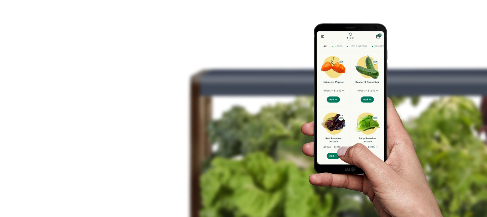 Maximize Your Harvest with Rise Membership | Rise Gardens