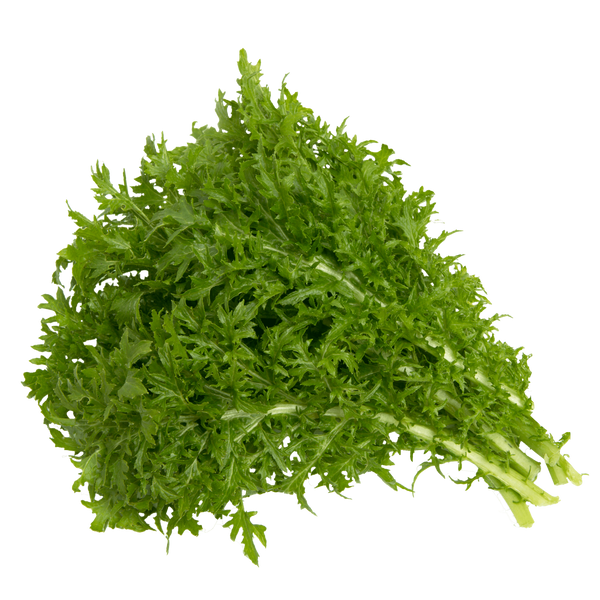 Wasabi Mustard seeds for Hydroponic Gardens |Rise Gardens