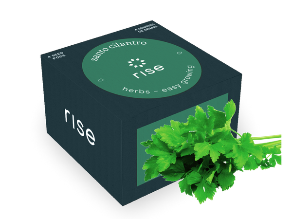 Santo cilantro Seeds for Indoor Herb Garden | Rise Gardens