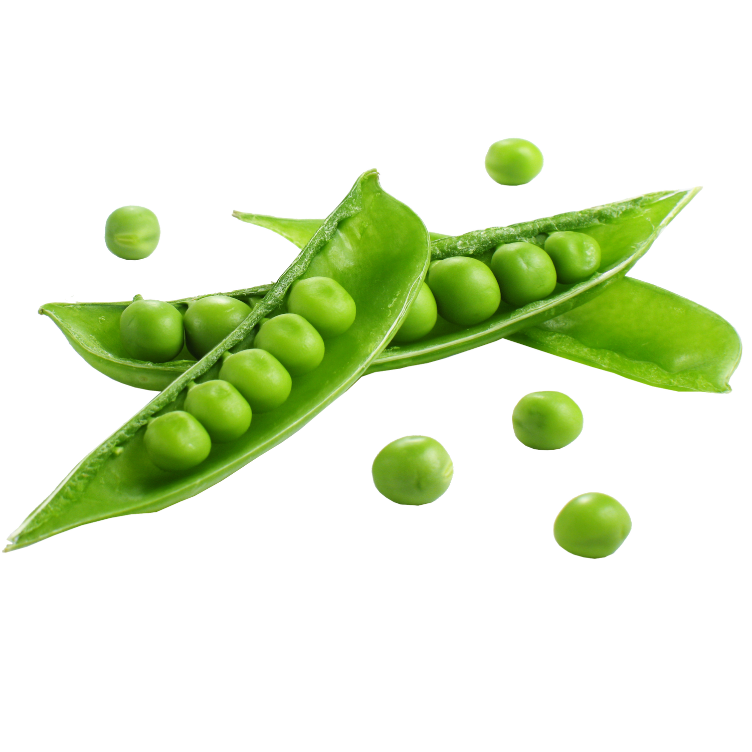 Dwarf Sugar Snap Peas Seeds for Indoor Garden | Rise Garden