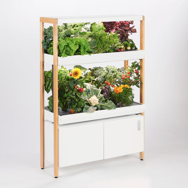 The Rise Garden | Indoor Hydroponic Garden
