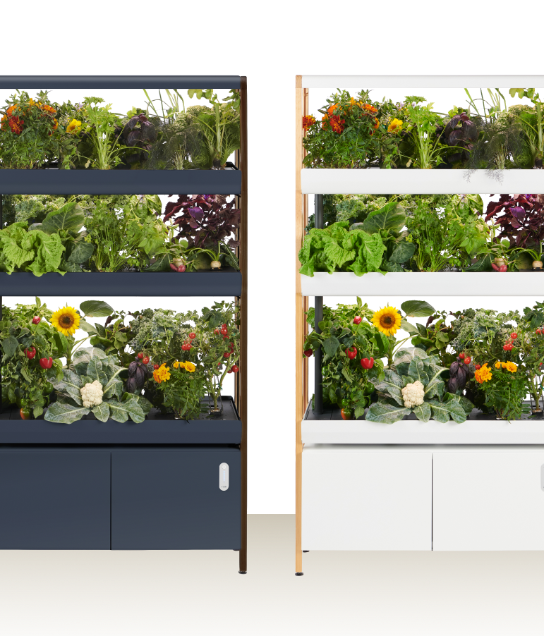 The Rise Garden | Indoor Hydroponic Garden