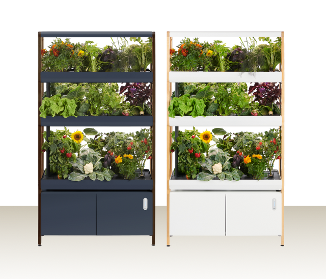 The Rise Garden | Indoor Hydroponic Garden