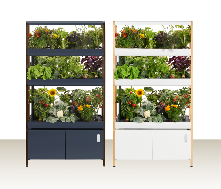 The Rise Garden | Indoor Hydroponic Garden