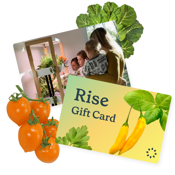 Rise eGift Card