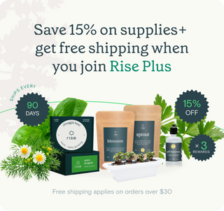 Rise Hydroponic Garden: Grow Vegetables, Fruits, and Herbs Year-Round