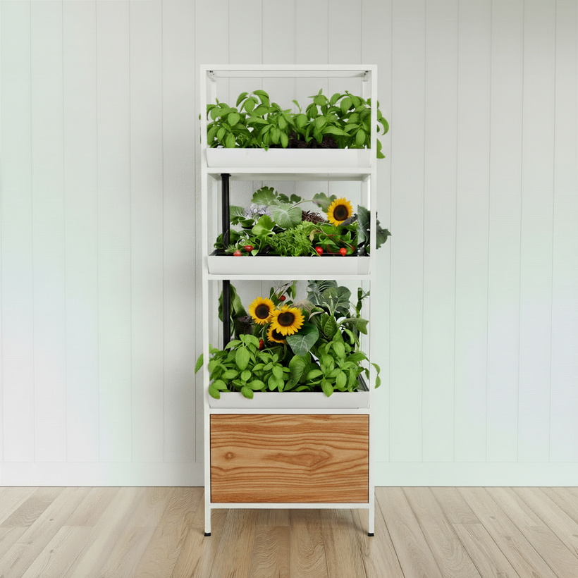 The Rise Garden Loft | Smart Compact Indoor Hydroponic Garden System ...