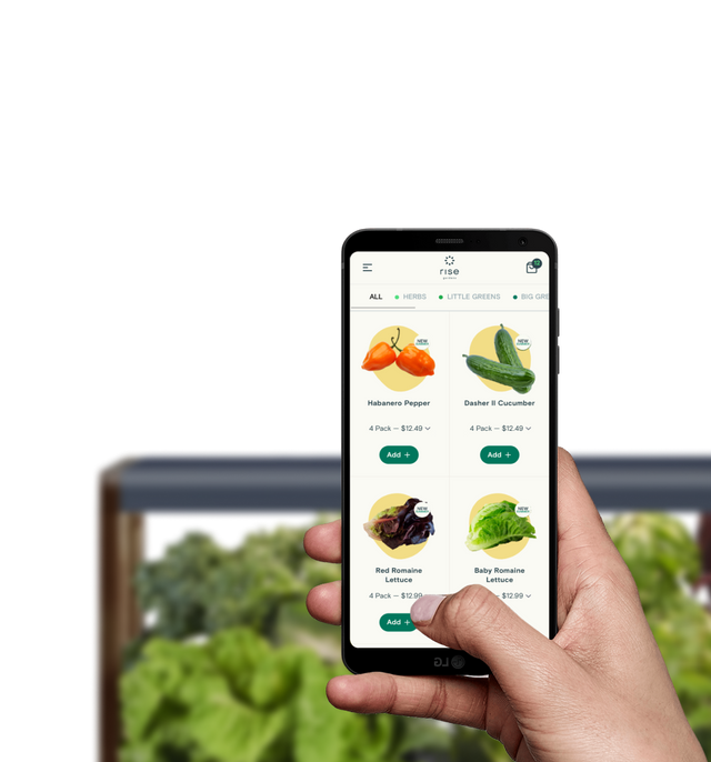 Maximize Your Harvest with Rise Membership | Rise Gardens