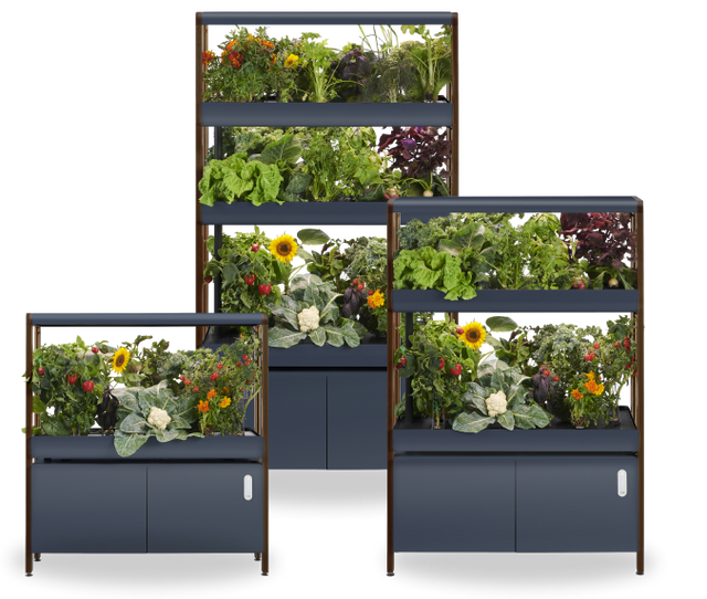 The Rise Garden | Indoor Hydroponic Garden