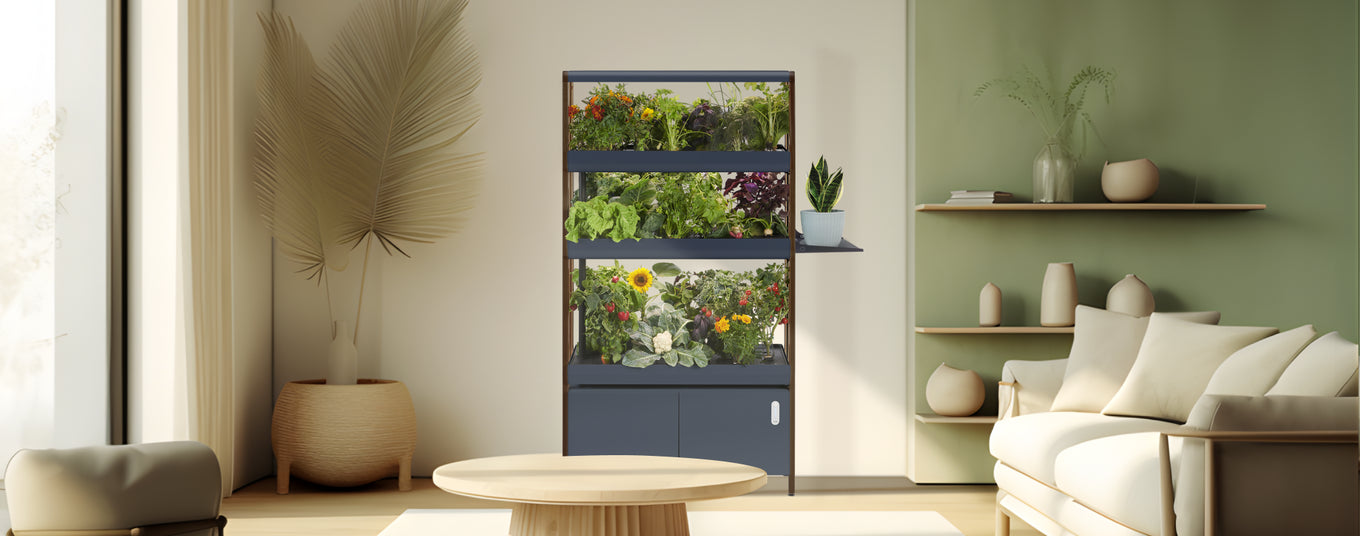The Rise Garden | Indoor Hydroponic Garden