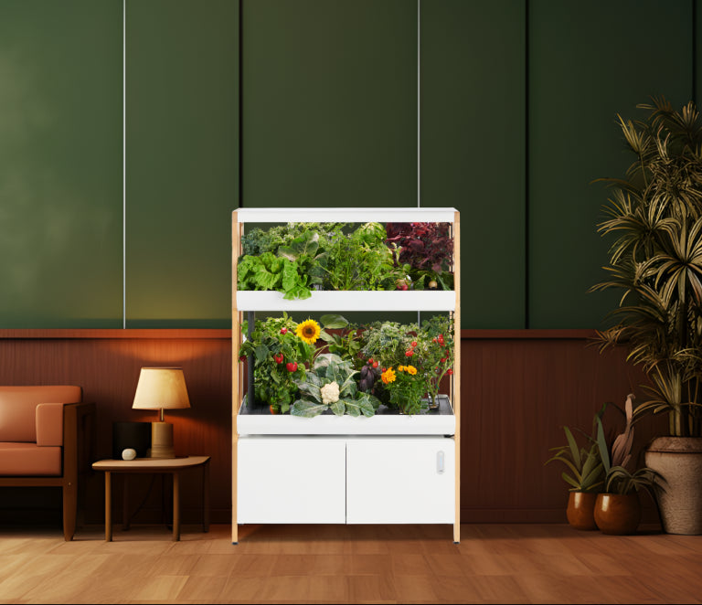 The Rise Garden | Indoor Hydroponic Garden