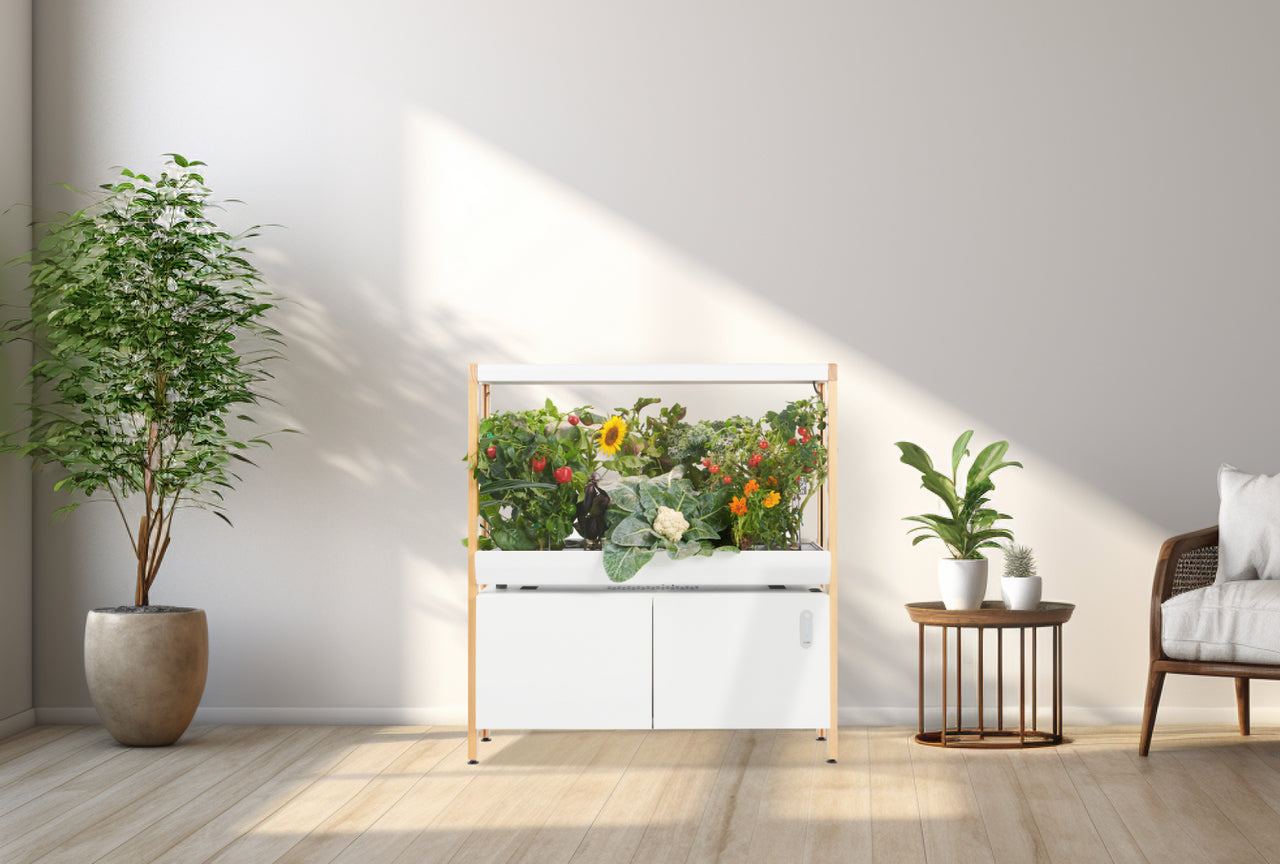 The Rise Garden | Indoor Hydroponic Garden