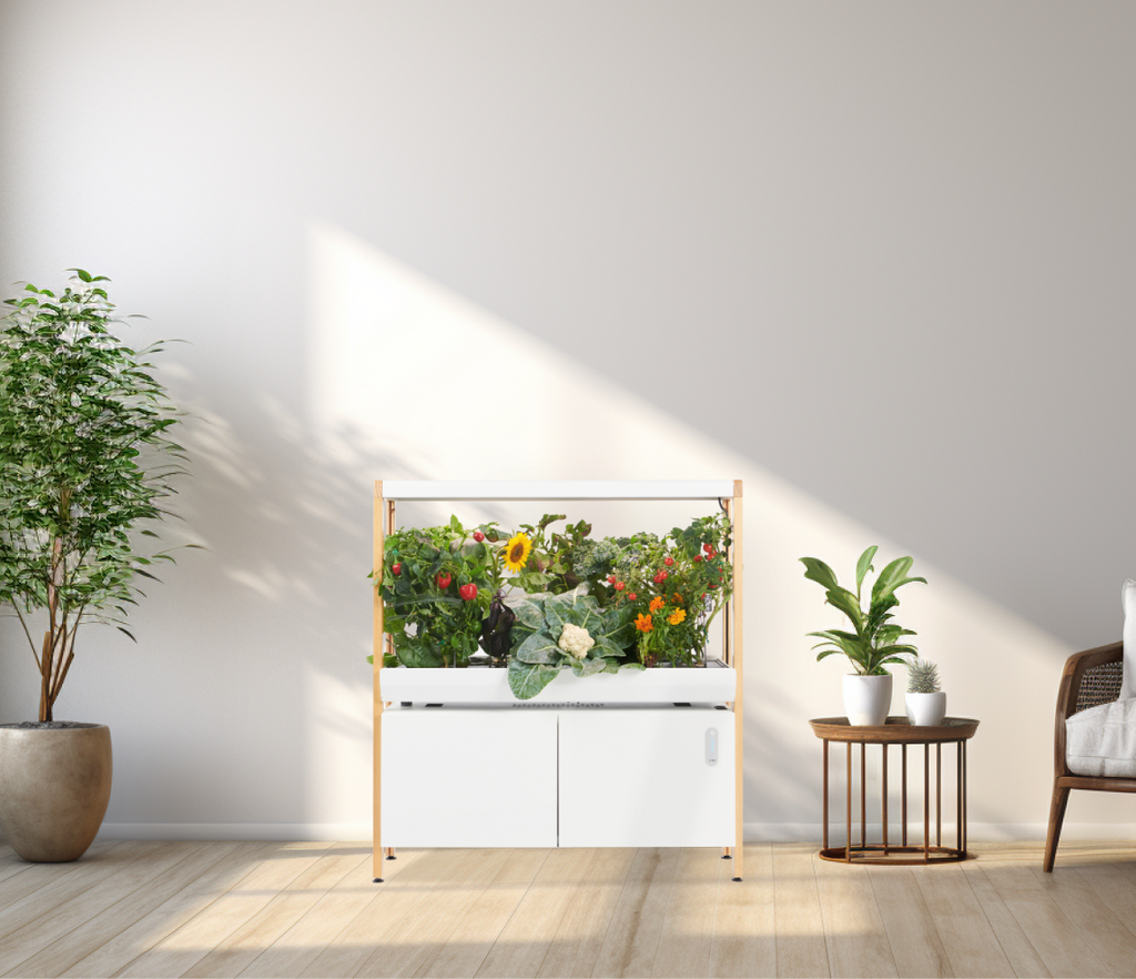 The Rise Garden | Indoor Hydroponic Garden