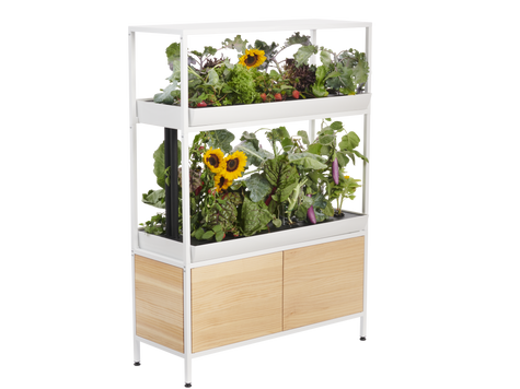 The Rise Garden 3 | Indoor Hydroponic Garden System