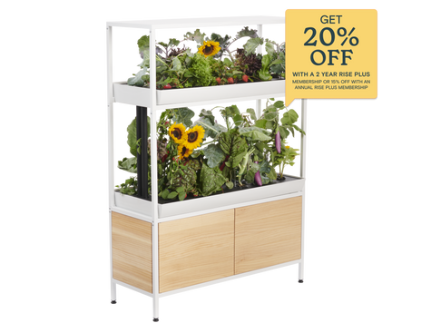Rise Garden: Indoor Hydroponic Garden System for Fresh, Homegrown ...