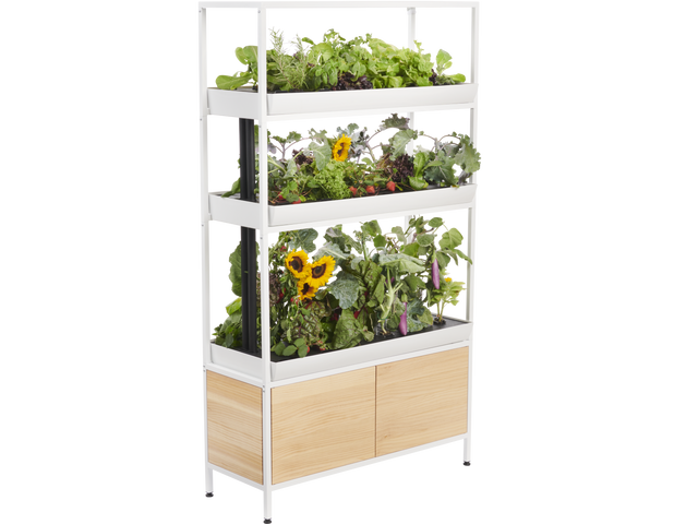 The Rise Garden 3 | Indoor Hydroponic Garden System