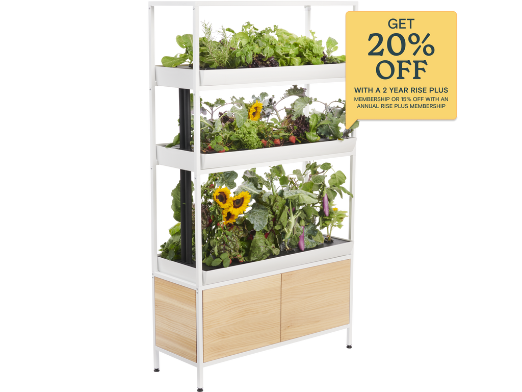 Rise Garden: Indoor Hydroponic Garden System for Fresh, Homegrown ...