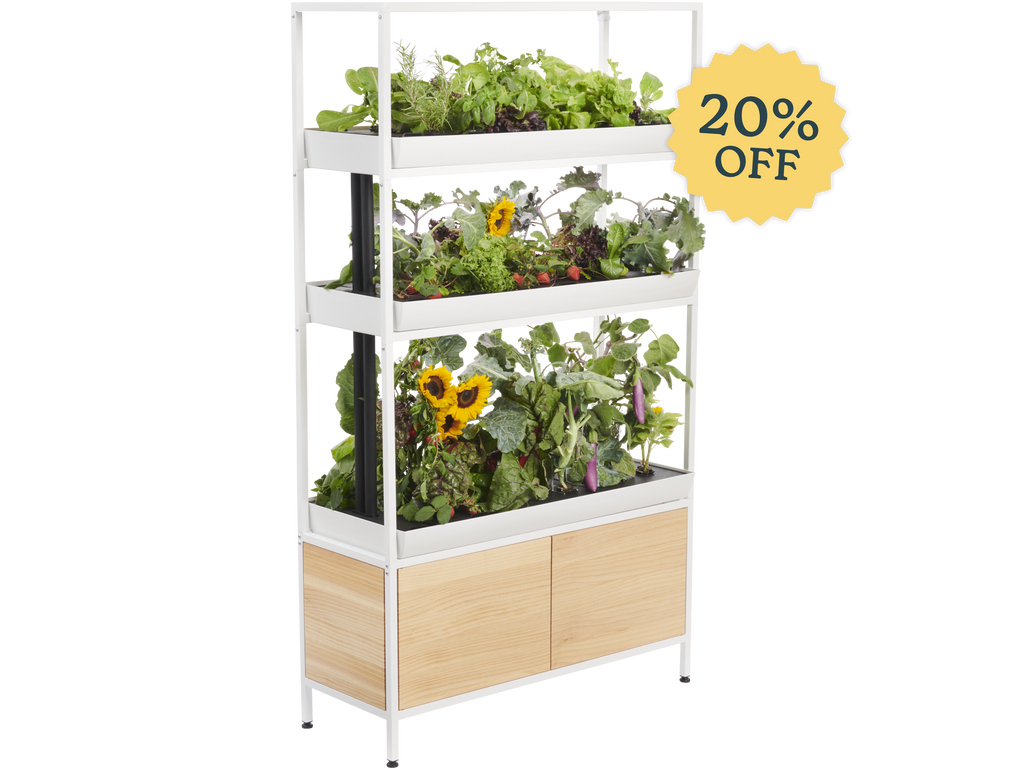 The Rise Garden 3 | Indoor Hydroponic Garden System