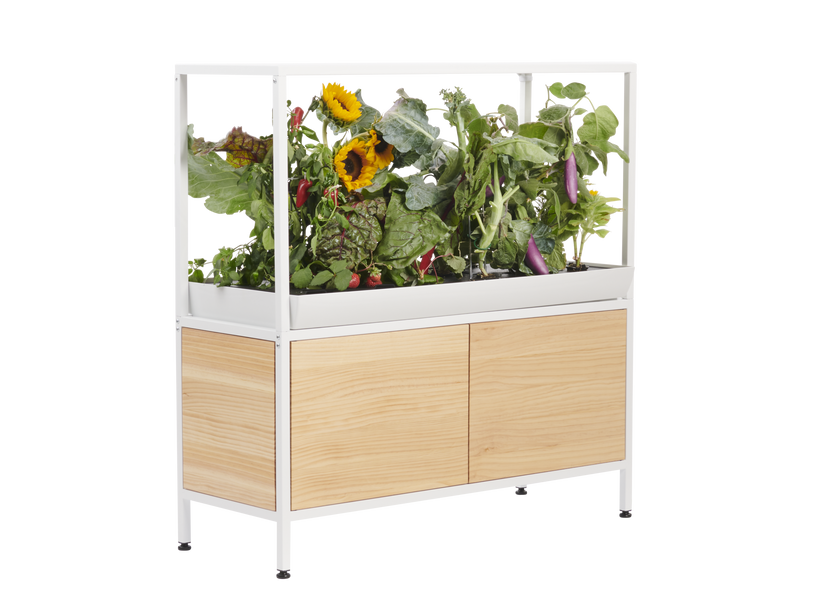 Rise Garden: Indoor Hydroponic Garden System for Fresh, Homegrown ...