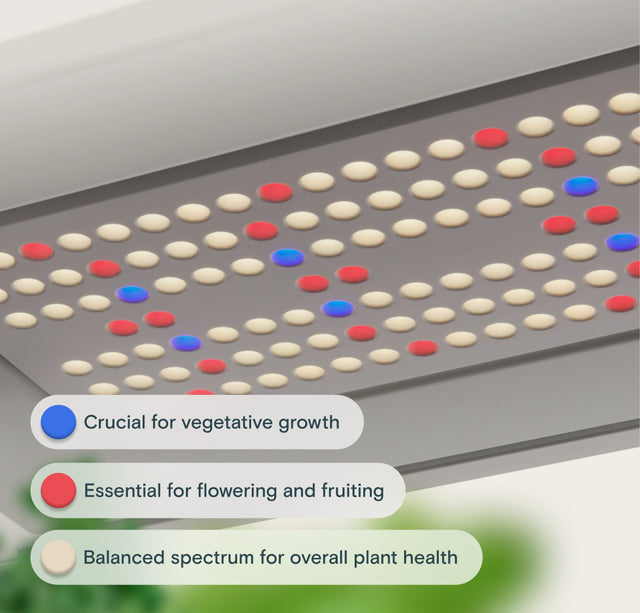 Rise Garden: Indoor Hydroponic Garden System for Fresh, Homegrown ...
