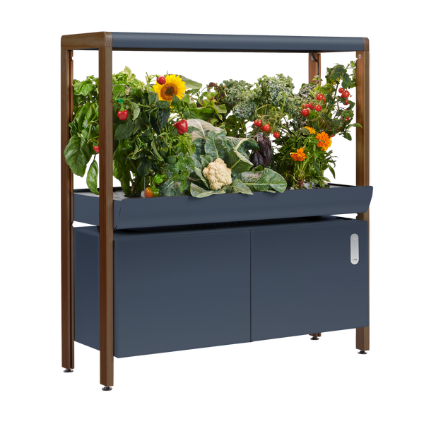 The Rise Garden | Indoor Hydroponic Garden