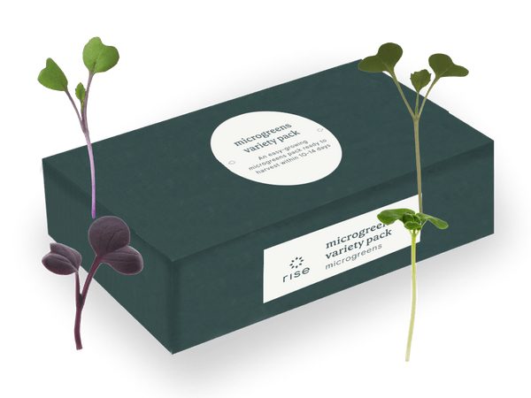 Microgreens Variety Pack | Hydroponic Indoor Gardens