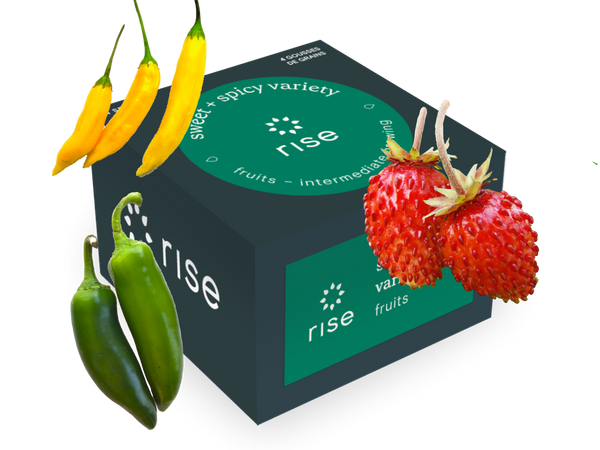 Sweet and Spicy Variety Pack